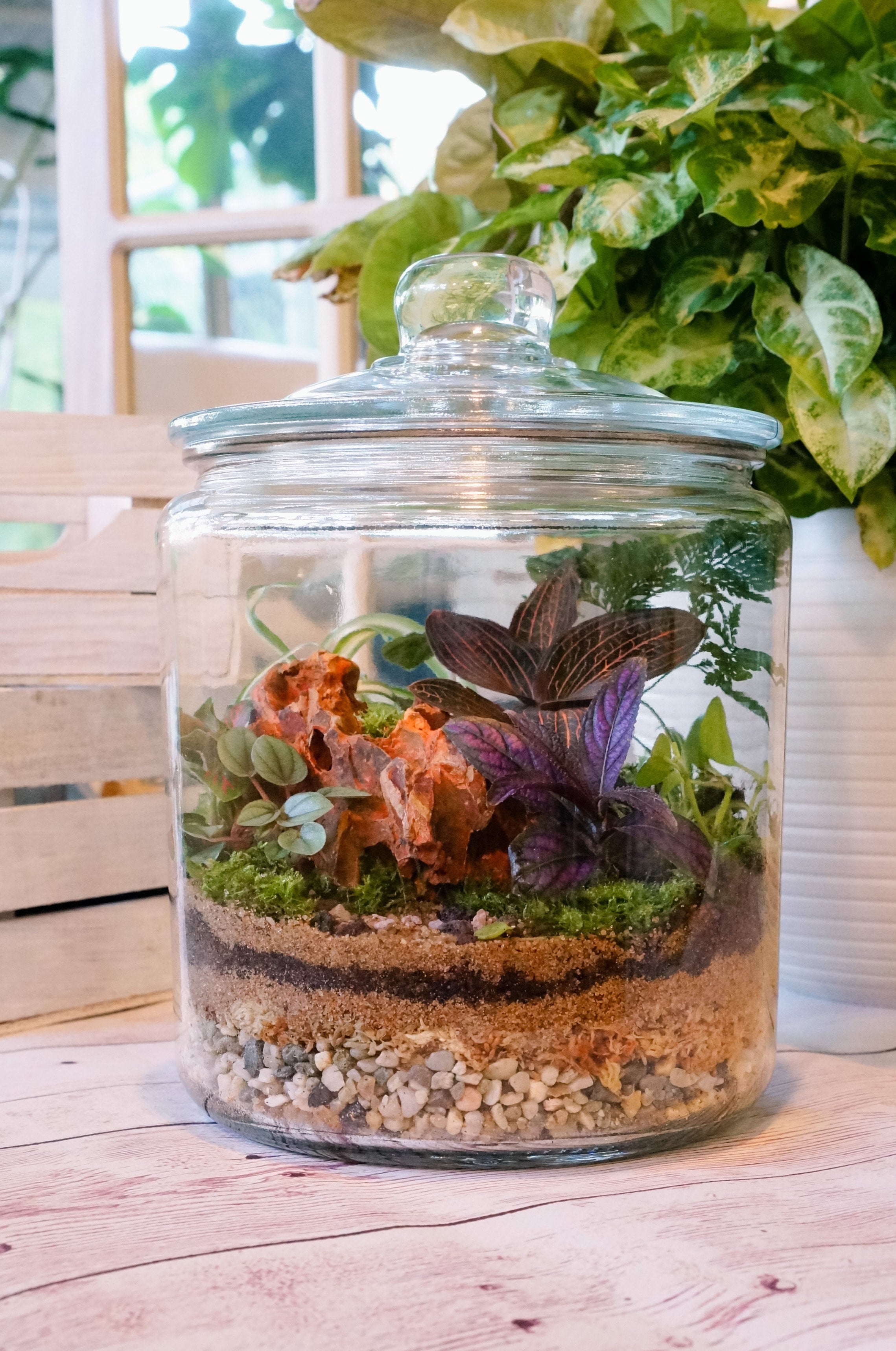 Medium Terrarium Jars | Glass Scapes